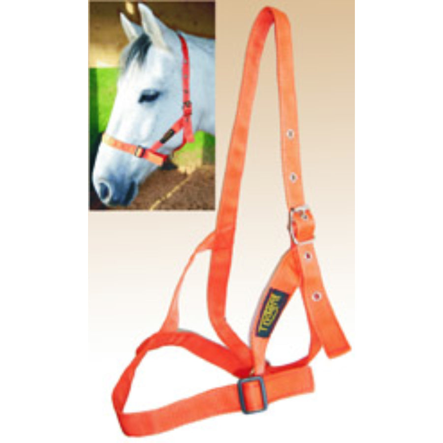 Halter Nylon Pony Or Cow