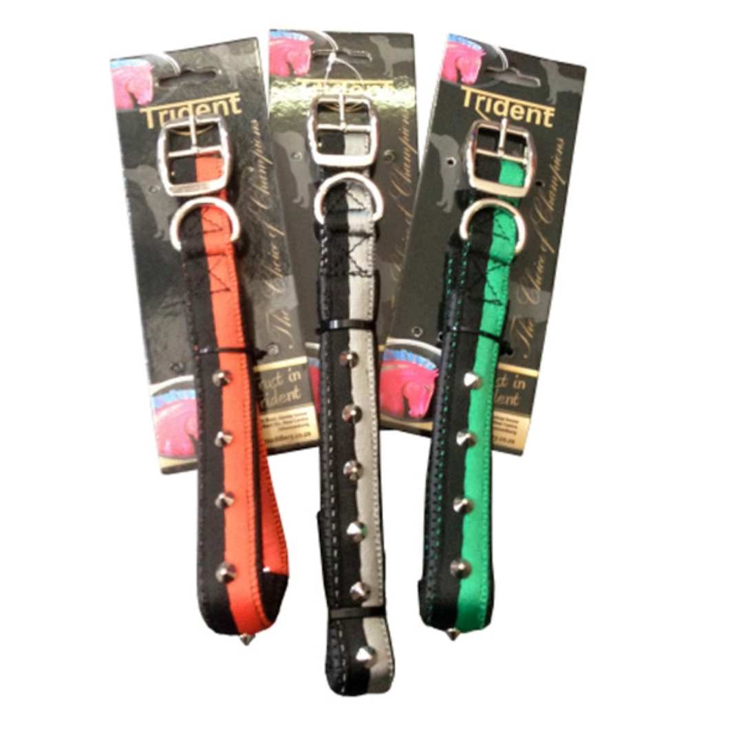 Studded Dog Collar – Multi Coloured