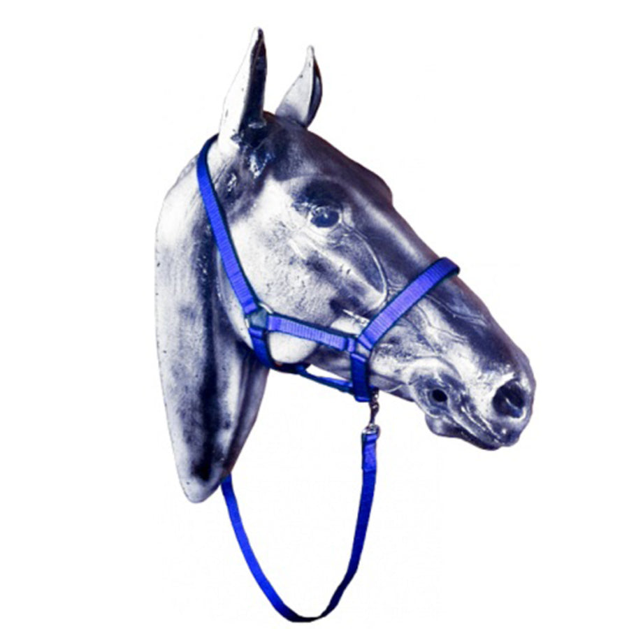 Dual colour head collar & lead (xs - xl)