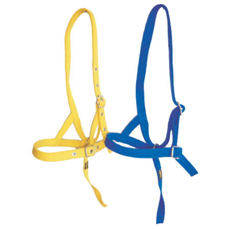 Web Halters - Baby Foal